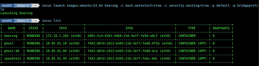 SearXNG: Privacy Respecting self hosted Search - ScottiByte's Discussion Forum
